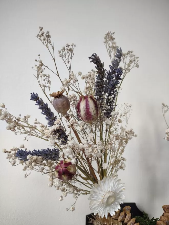 Botanical Stag Head Wall Mount Mini Lavender & Gyp - Holly & Co