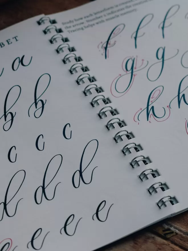Beginners Modern Calligraphy Workbook - Holly & Co