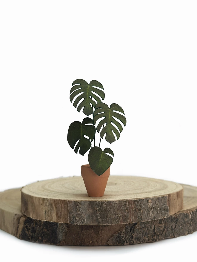 ‘I’ll Never Leaf You’ Miniature Monstera Paper Plant - Holly & Co